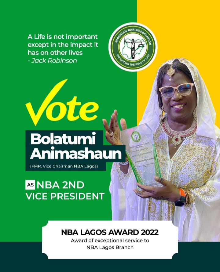 Candidate For NBA Second Vice President, Bolatumi Animashaun Promises A ...